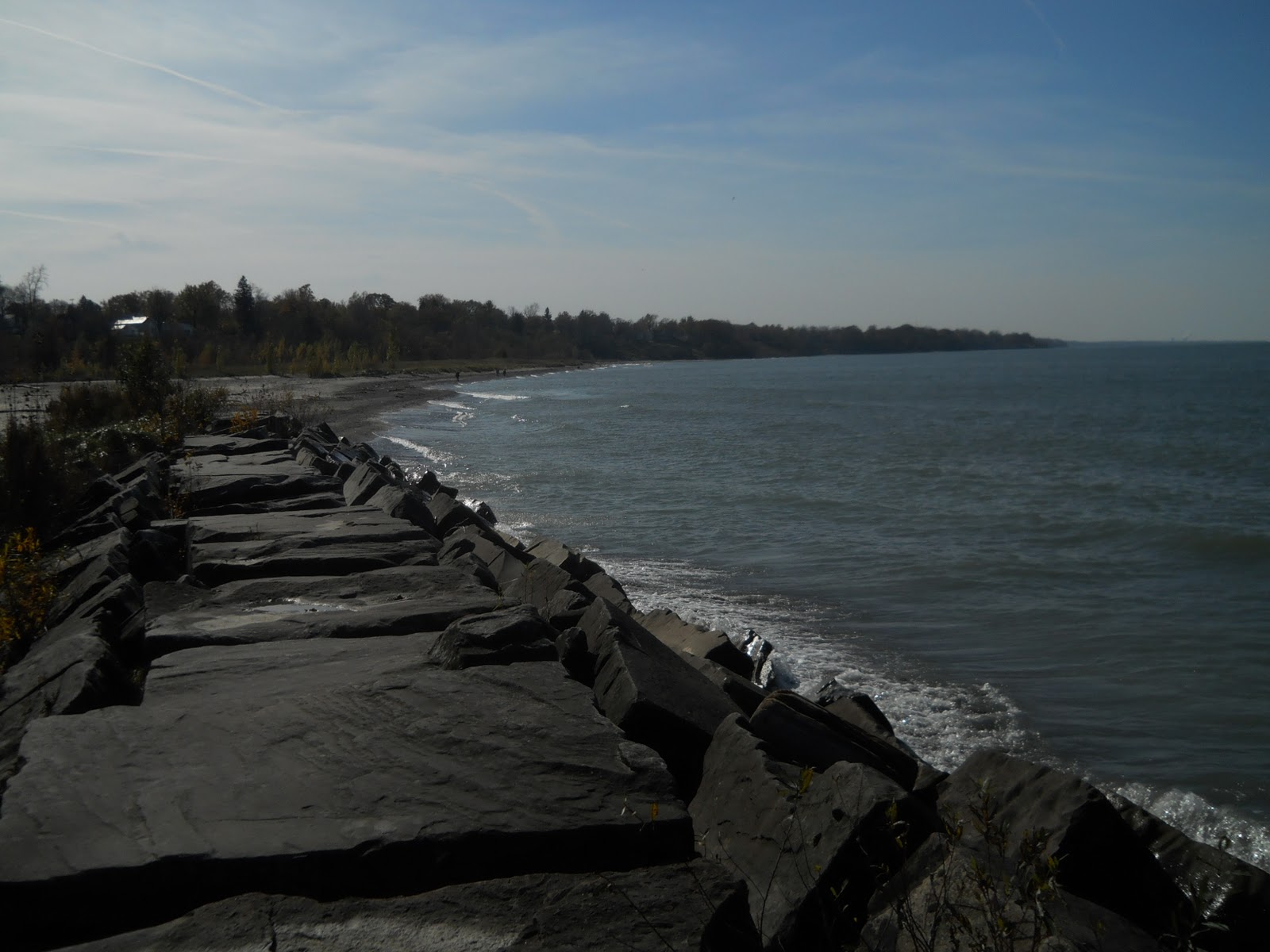 Thelma and Lewis Did NY to CA and Back in 12 Days!!