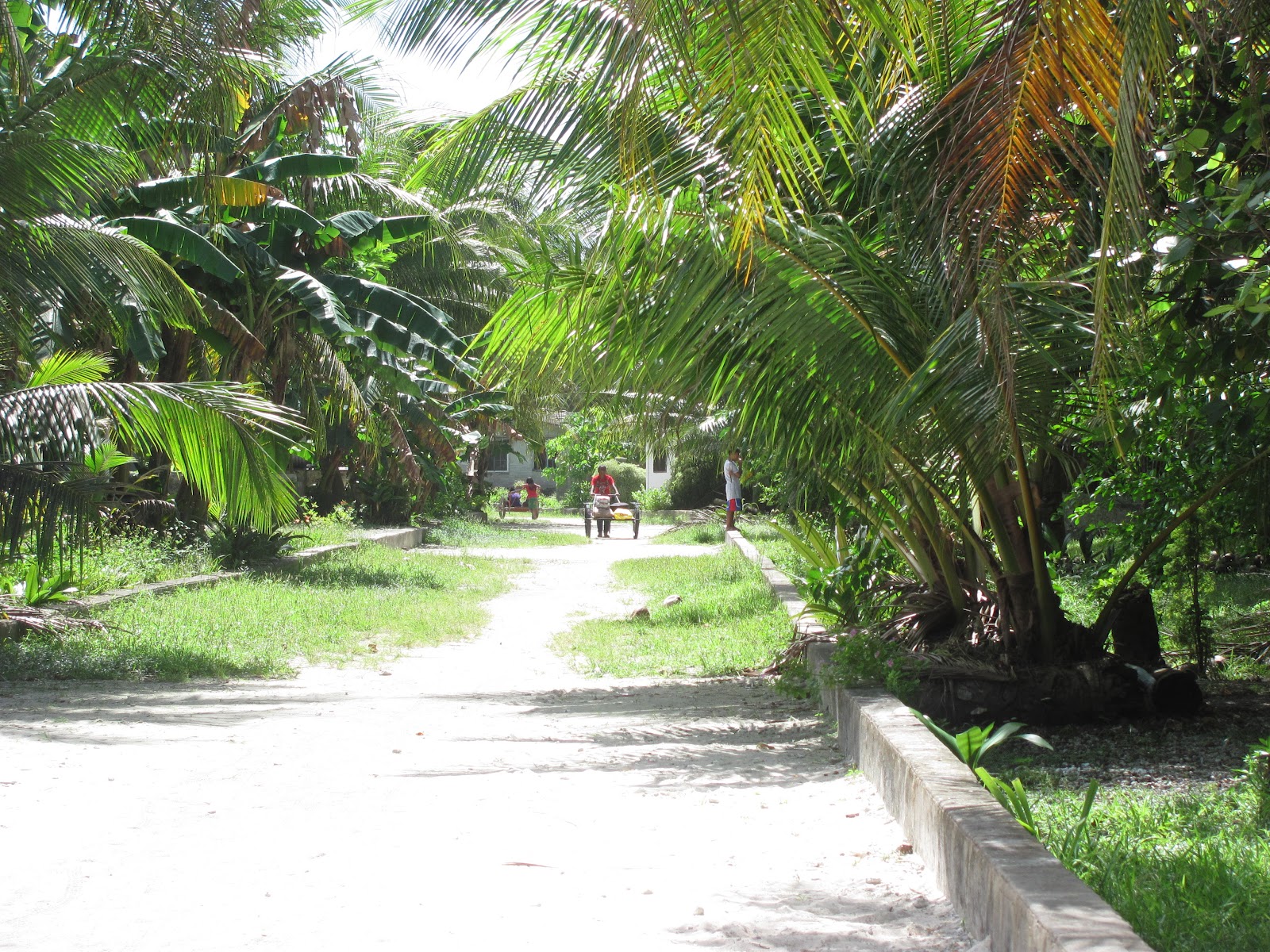 A Journey on the Edge of the World: The Definition of Paradise? Pingelap