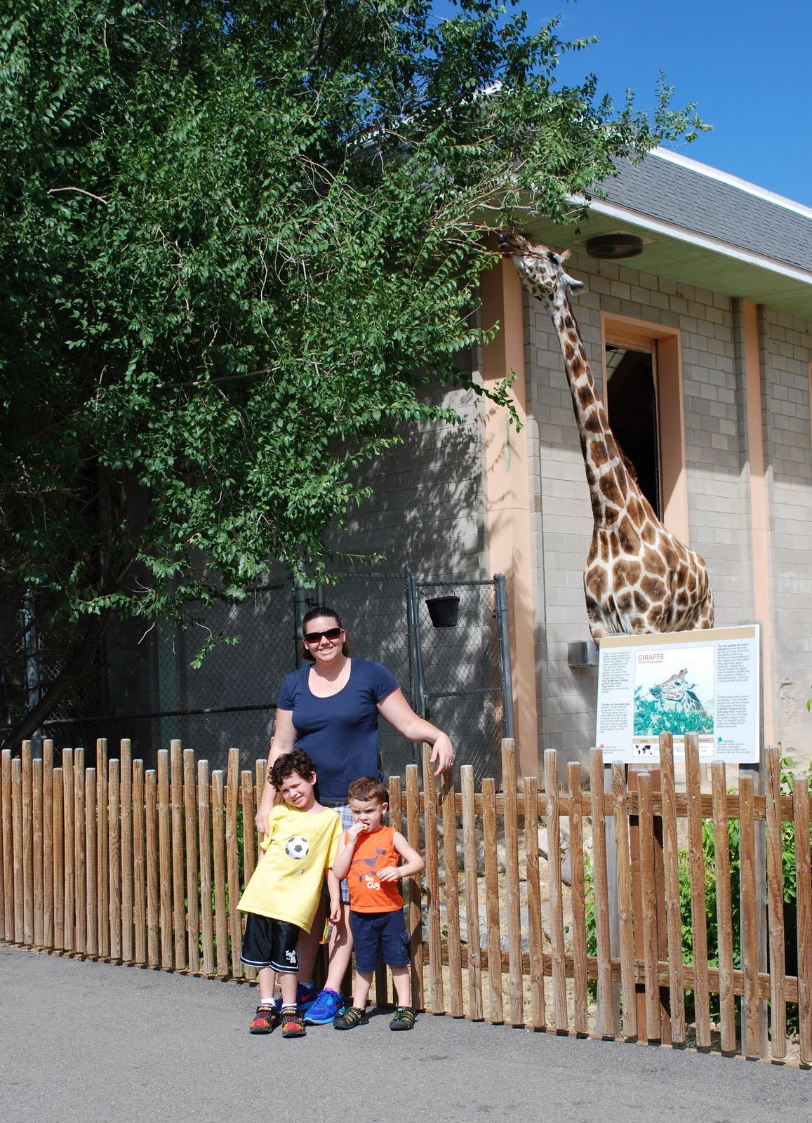 Utah's Hogle Zoo