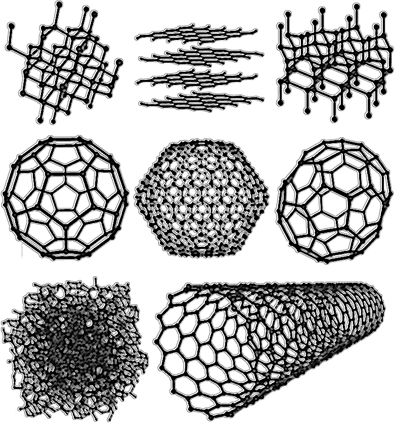 Climate Ecoforestry - resilience
