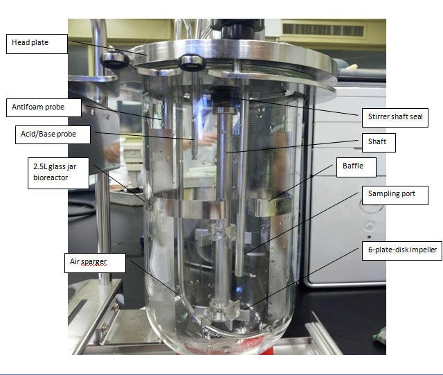 MR BIOREACTOR: Parts of a bioreactor