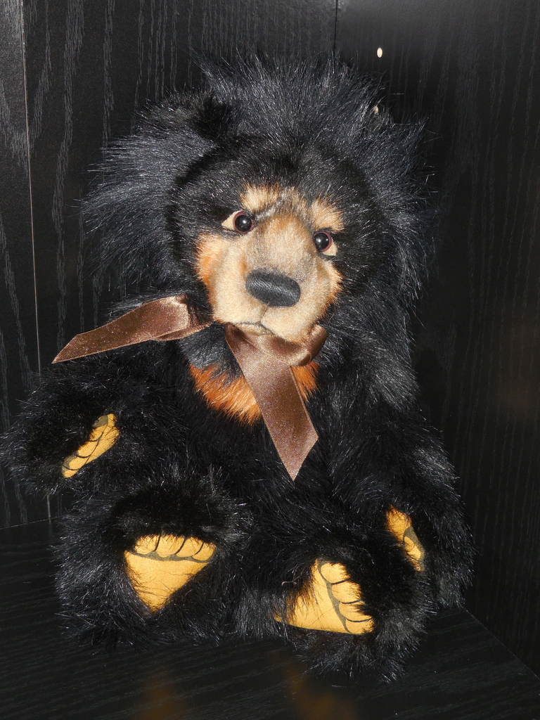 Veni Vidi Dolli: COLLECTION IN DEPTH: Charlie Bears
