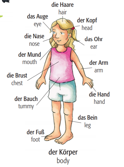 FELICITY'S GERMAN BLOG: EARLY YEARS GERMAN