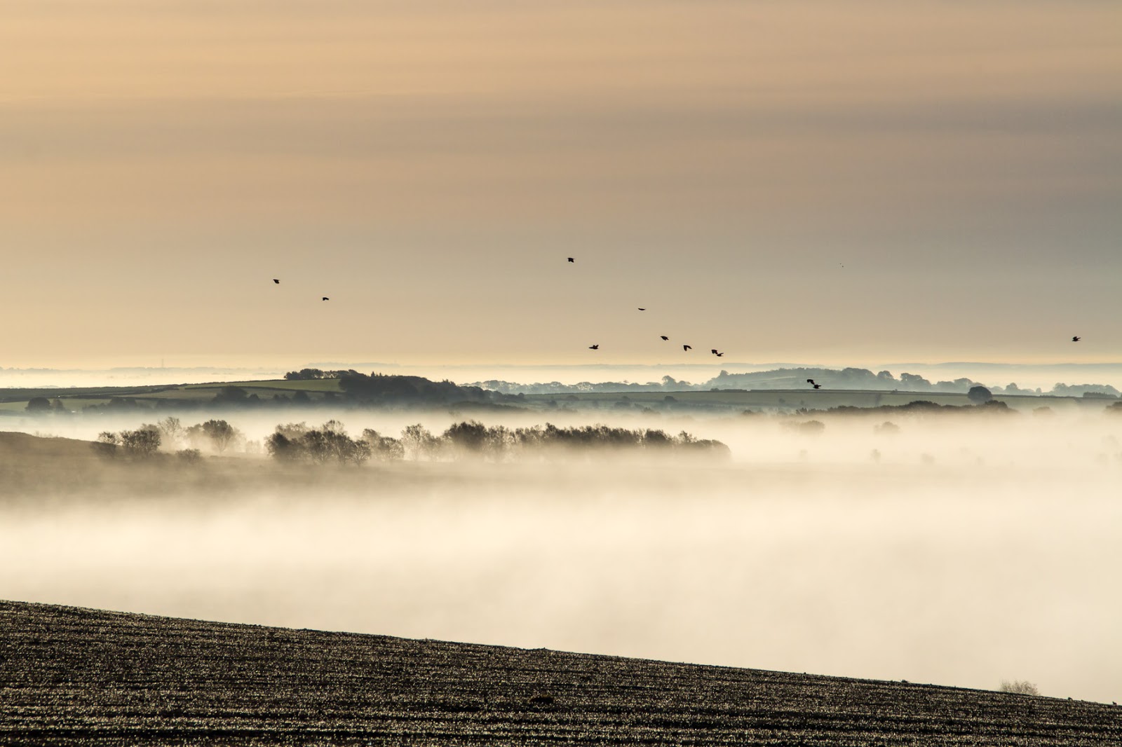 Darley Dale Wildlife: Mist over the moors
