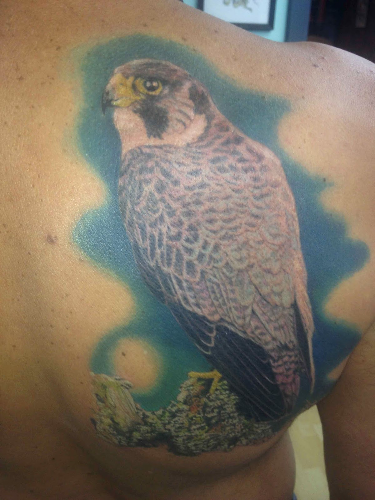 Soul Inn House Tattoo: Falcon tattoo by Rohan Begolo