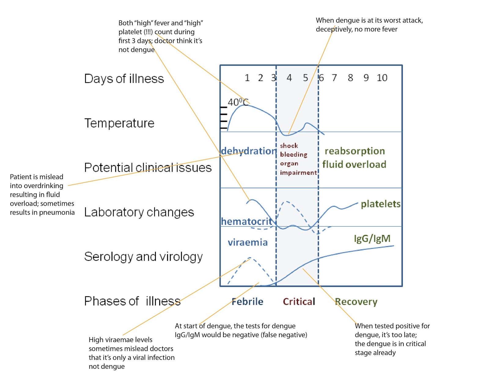 Dengue: Read this first