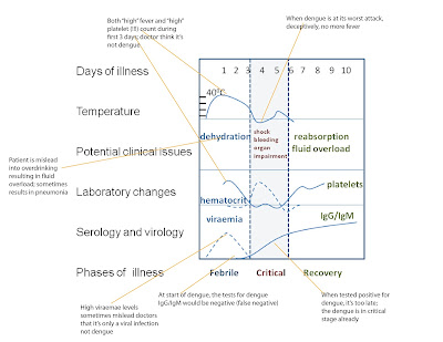 Dengue: Read this first