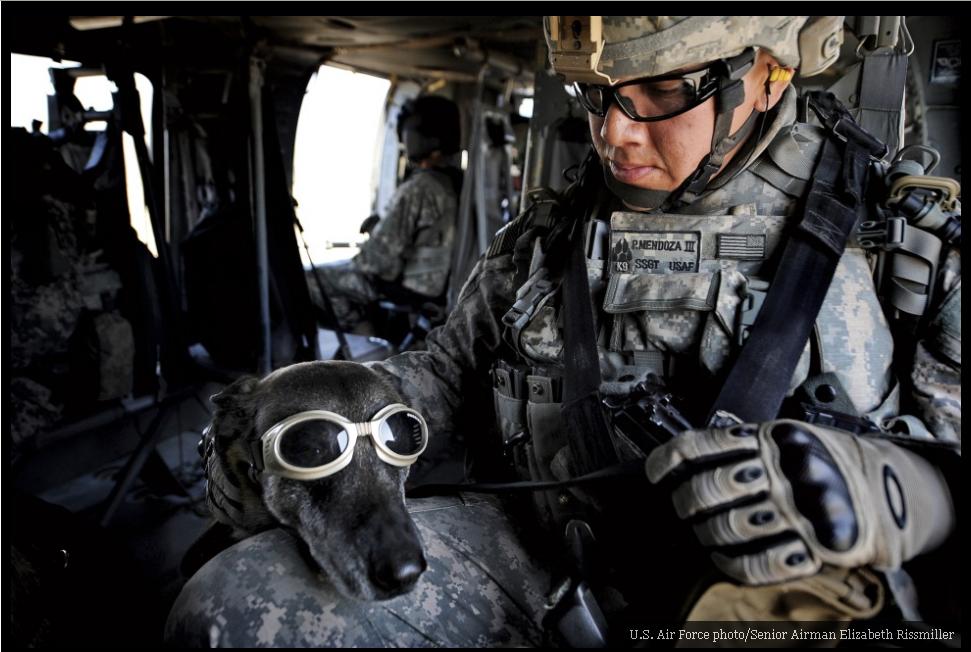 ID4Pet Custom Pet ID Tag: A Military Dog Jumping Out of a Helicopter