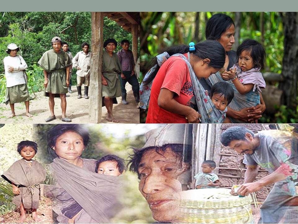 Ubicación, Situación Social y Economía de las Etnias Tolupan y ...