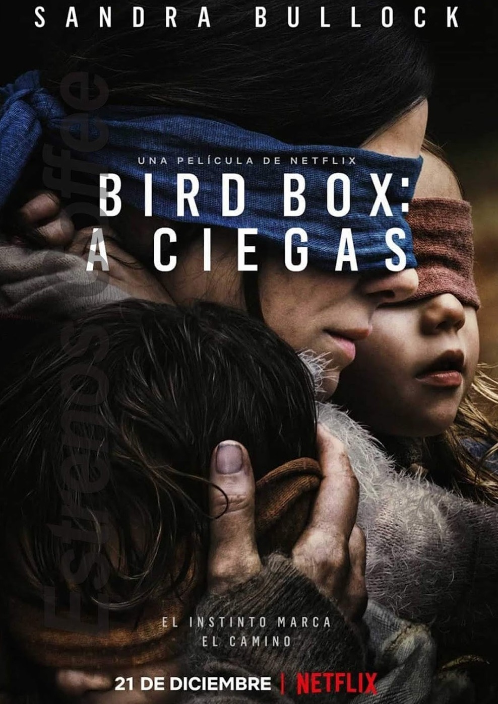 Susurros desde la Oscuridad: 2018 - A ciegas (Bird Box)