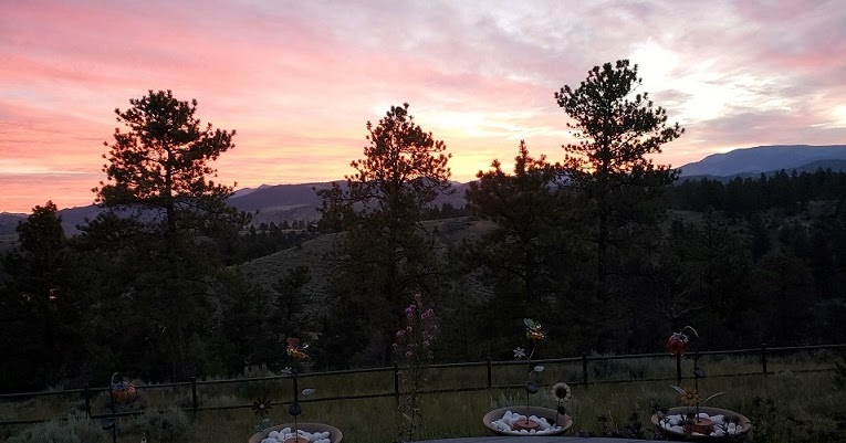 The Sky Is My Garden 20 Pounds Of Sunrise the-sky-is-my-garden-20-pounds-of-sunrise