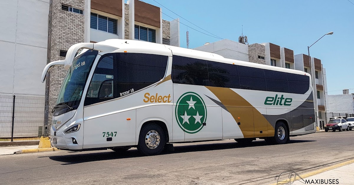 MAXIBUSES: ELITE SELECT