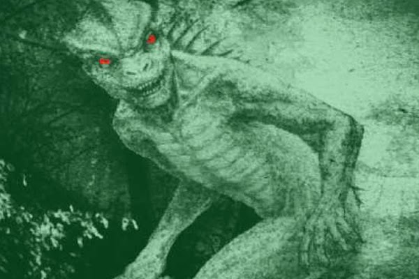 10 Weird, Terrifying and Unexplainably Mysterious Creatures ~ Eyes ...