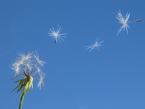 Klasifikasi Angin - Guru Geografi