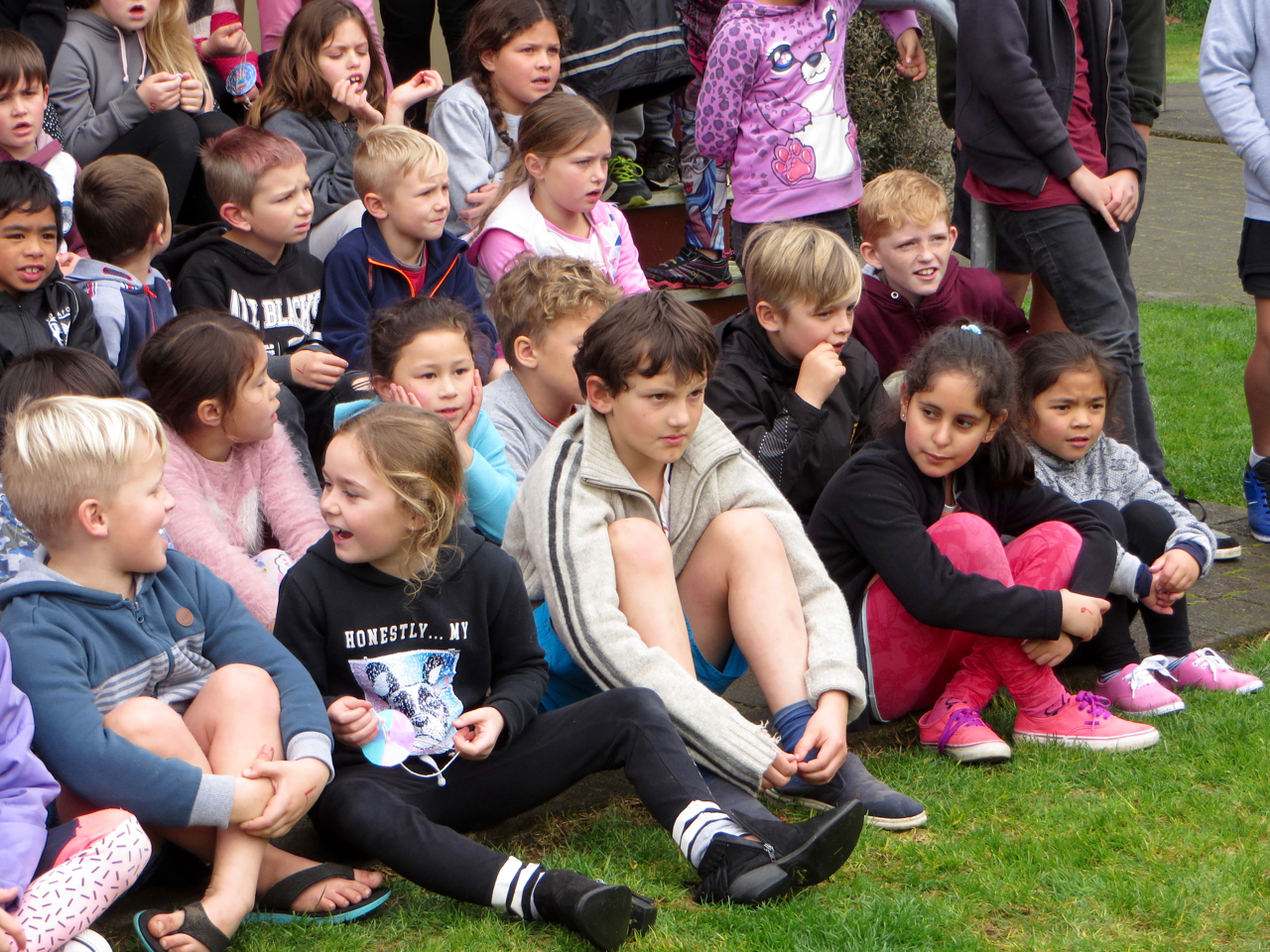 Room 3 Firth Primary School