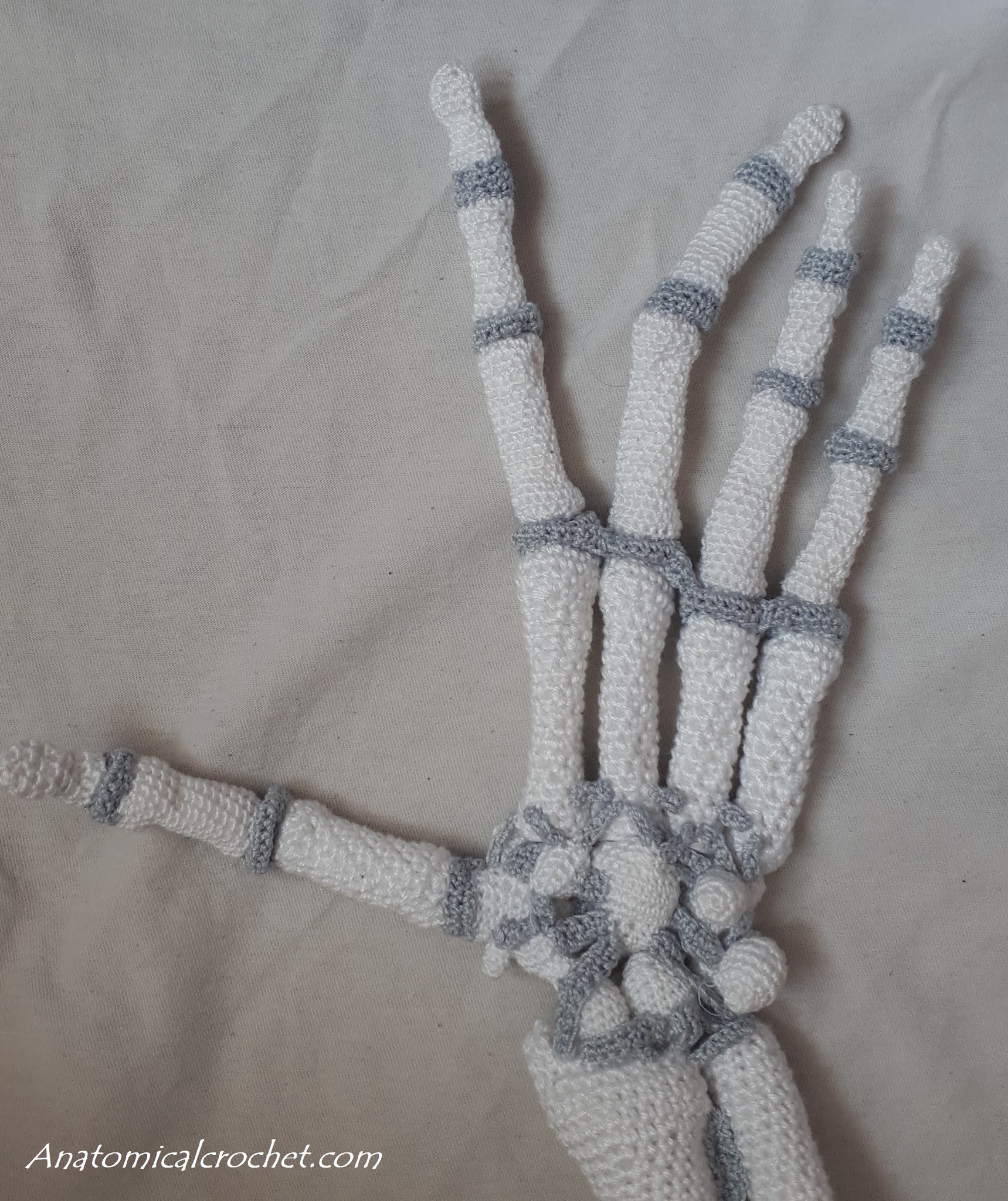 Adventures into Anatomical Crochet: Life-sized skeleton