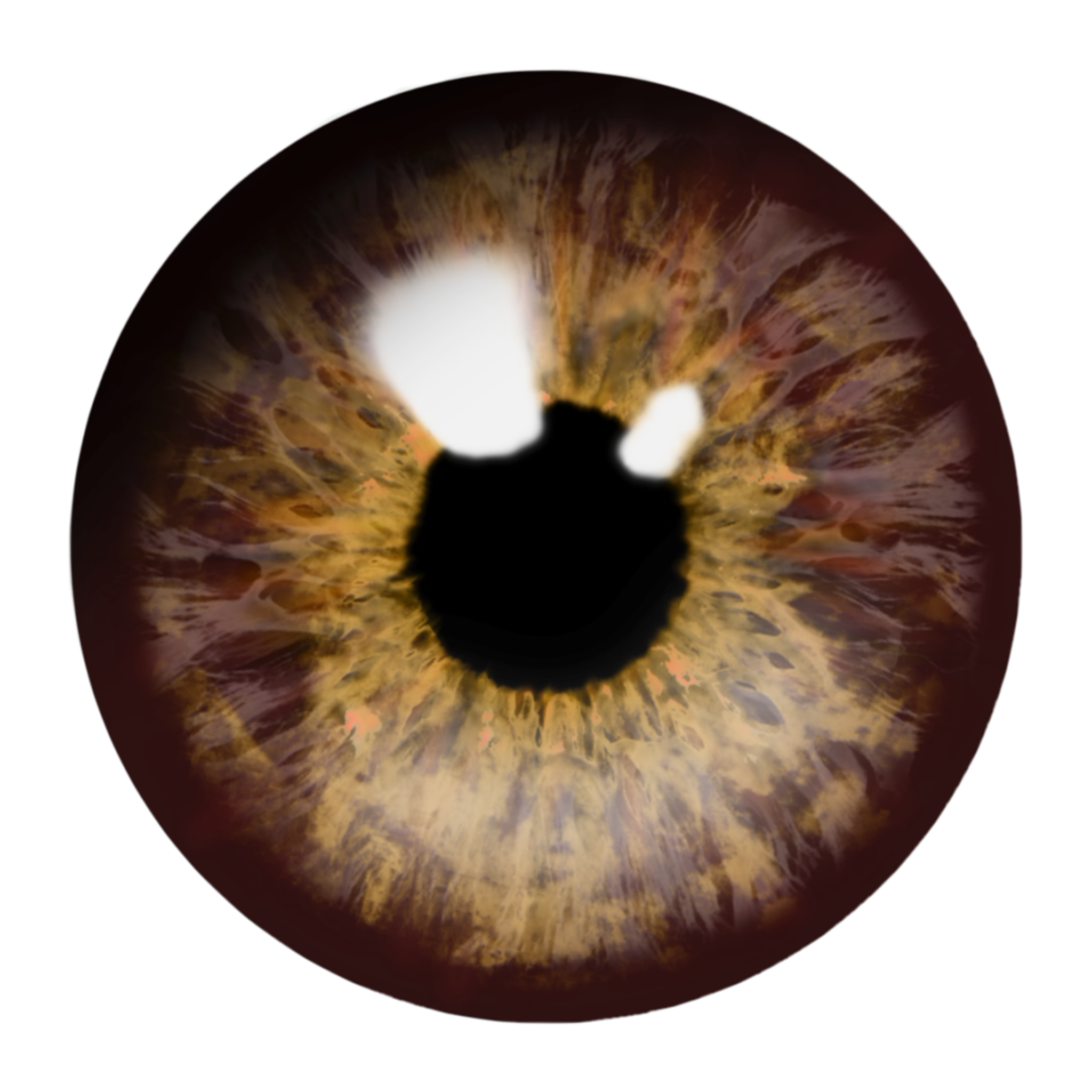 EYES TRANSPARENT PNG HD FOR EDITING | FREE DOWNLOAD