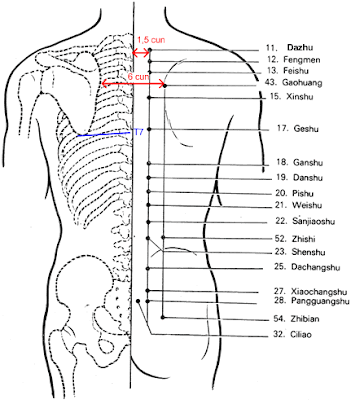 Blog Le Souffle du Menhir: Les points Bei Shu Xue / Bèi Shū Xué Shu ...
