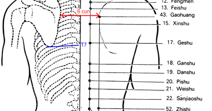 Blog Le Souffle du Menhir: Les points Bei Shu Xue / Bèi Shū Xué Shu ...