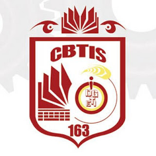 Brinda Soporte Técnico A Distancia