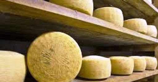 Progetto Mediterrae: L’impiego del legno nella stagionatura dei formaggi