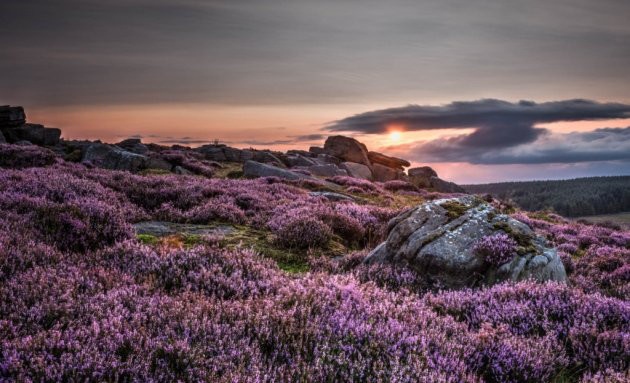 Monsters and Manuals: The Heather Sea