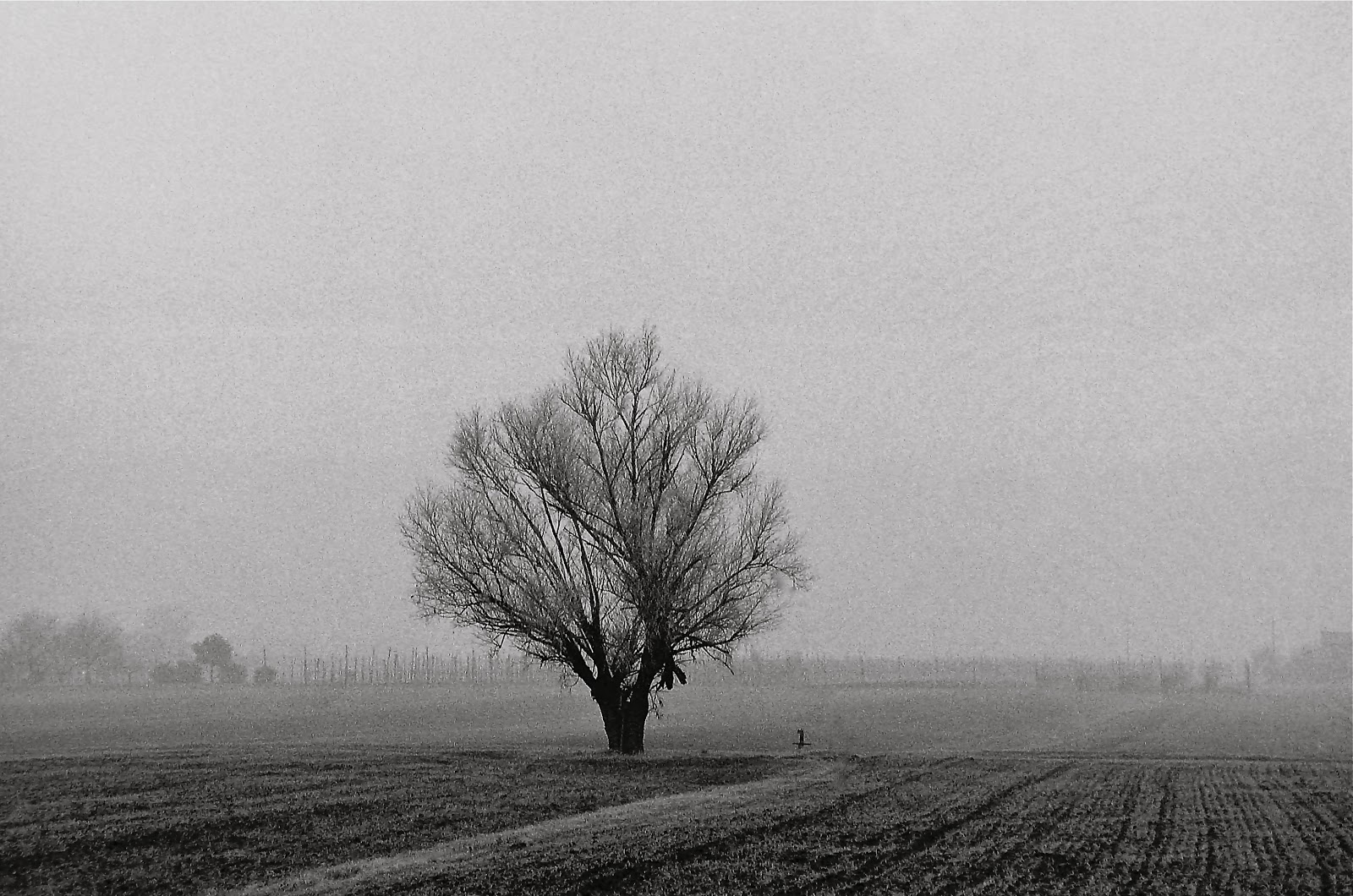 luca lancieri: I FotoPensieri, The Photothoughts