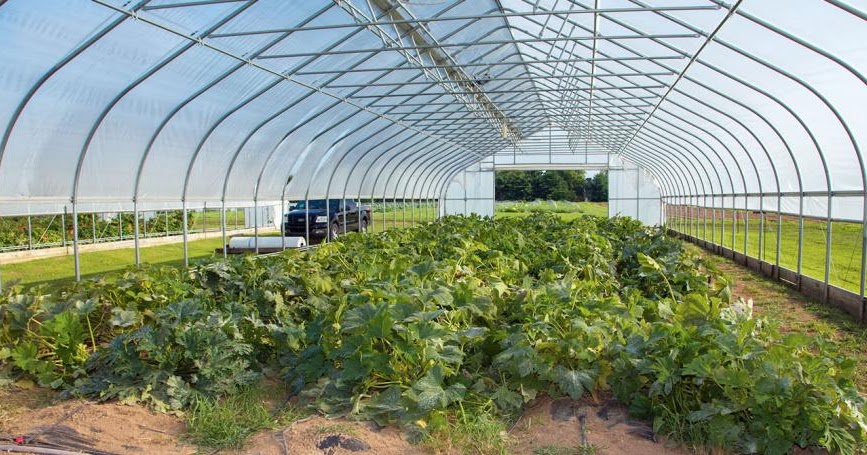 Horticulture: Career and Scope