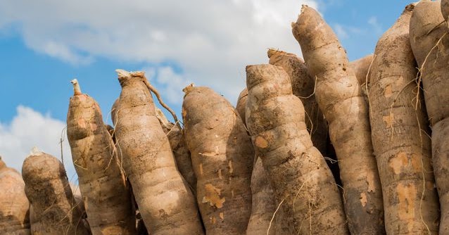 Horsing Around At Home: Tropical tubers.......