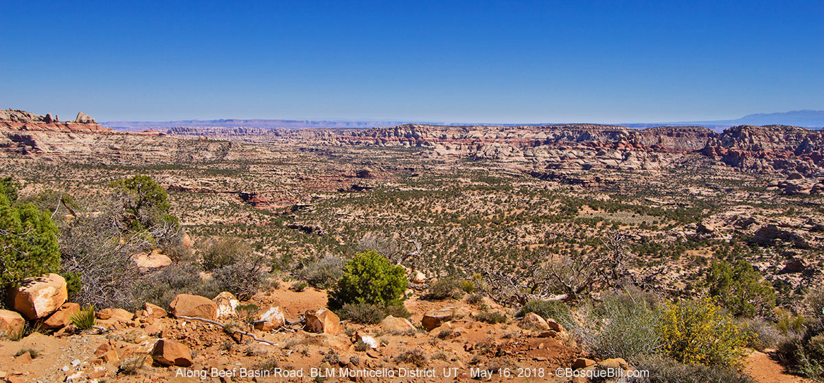 Bosque Bill's Backroads: Ruins & Landscapes, UT & CO; Part 1 - May 2018