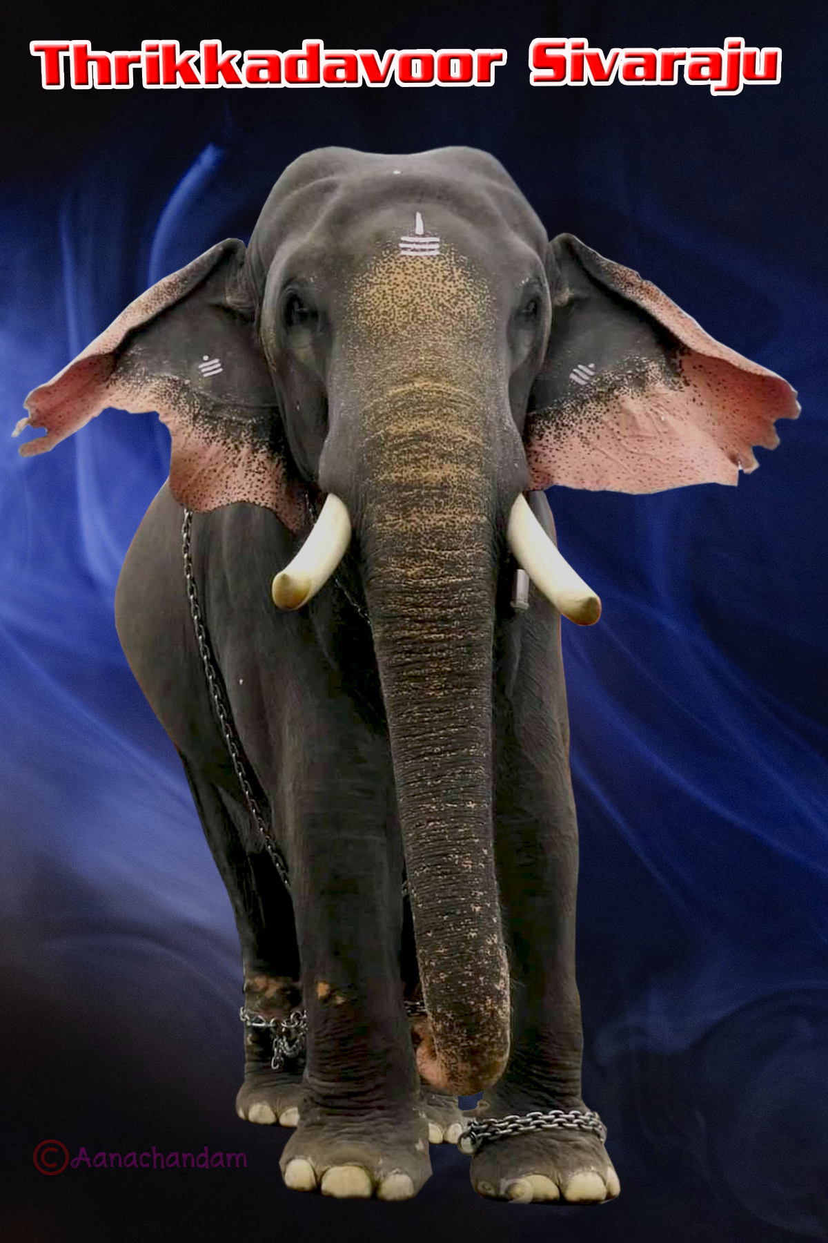 Cherpulassery Rajasekaran Height