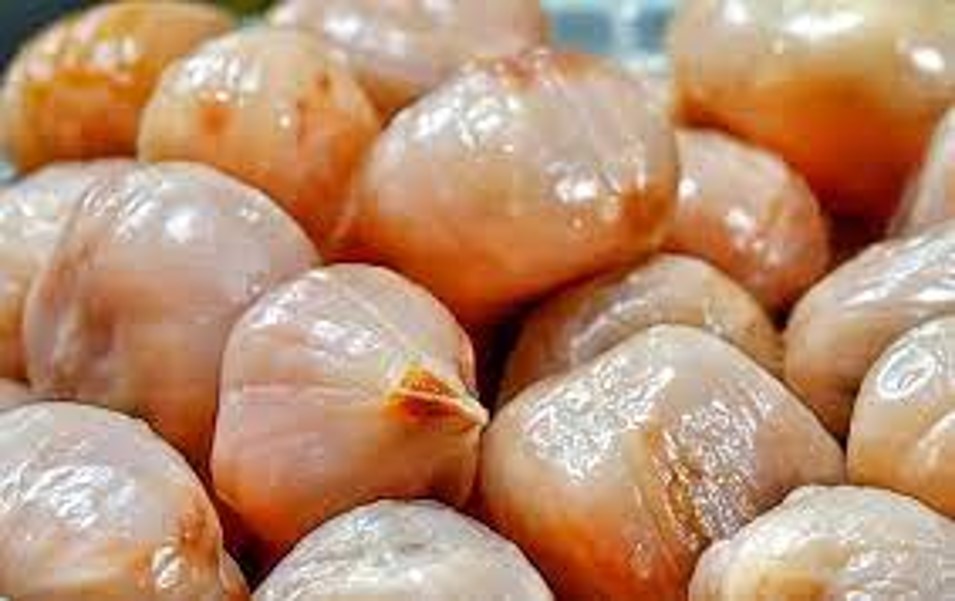 Cerita: CARA MUDAH JERUK BUAH KELUBI