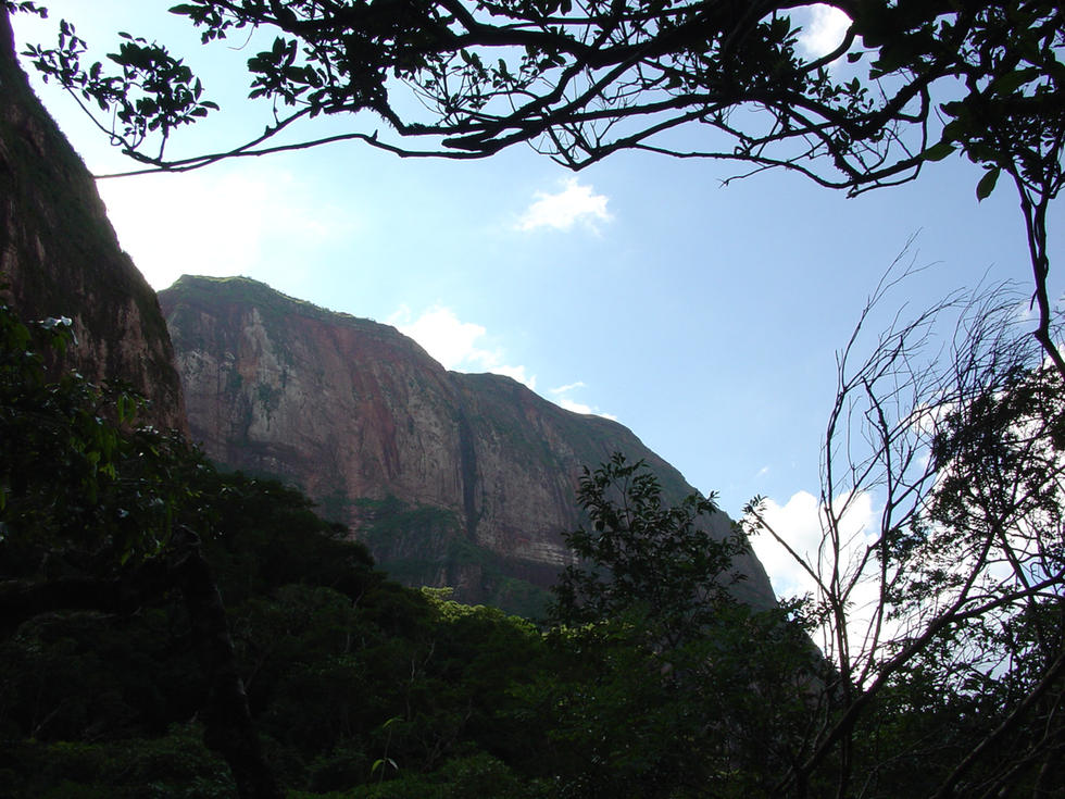 PARQUE NACIONAL AMBORÓ | Viajes y Turismo