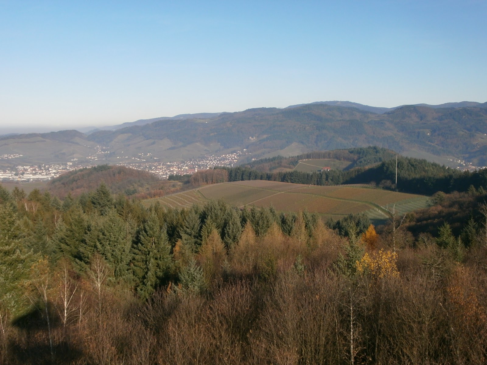 Der Schwarzwald und seine Natur: Die Aussicht vom Geigerskopfturm bei ...