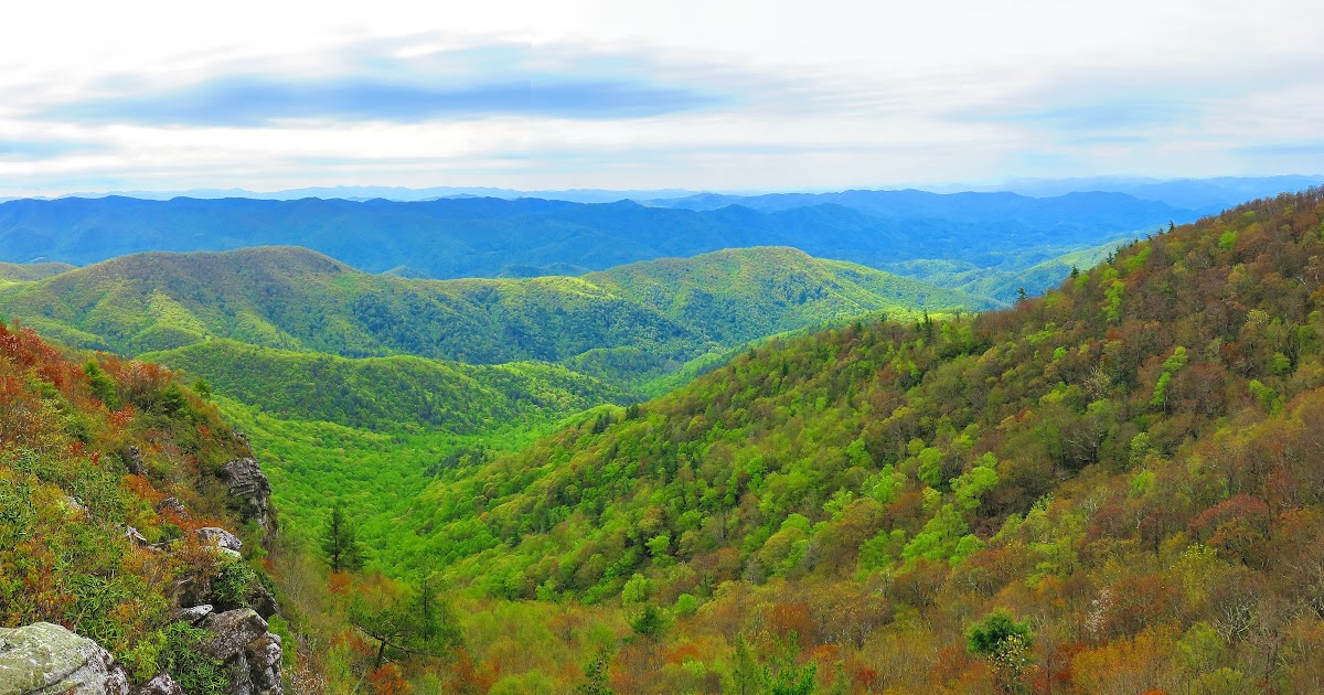 Tales From The Wood Booger: A Wood Booger View On The Coronavirus