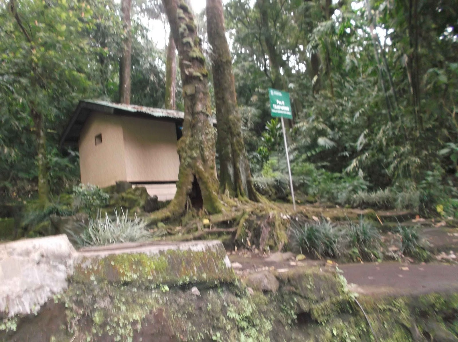 Gunung Arjuna (3.339) Mdpl Beserta Jalur Pendakian ~ WISATA ALAM INDONESIA