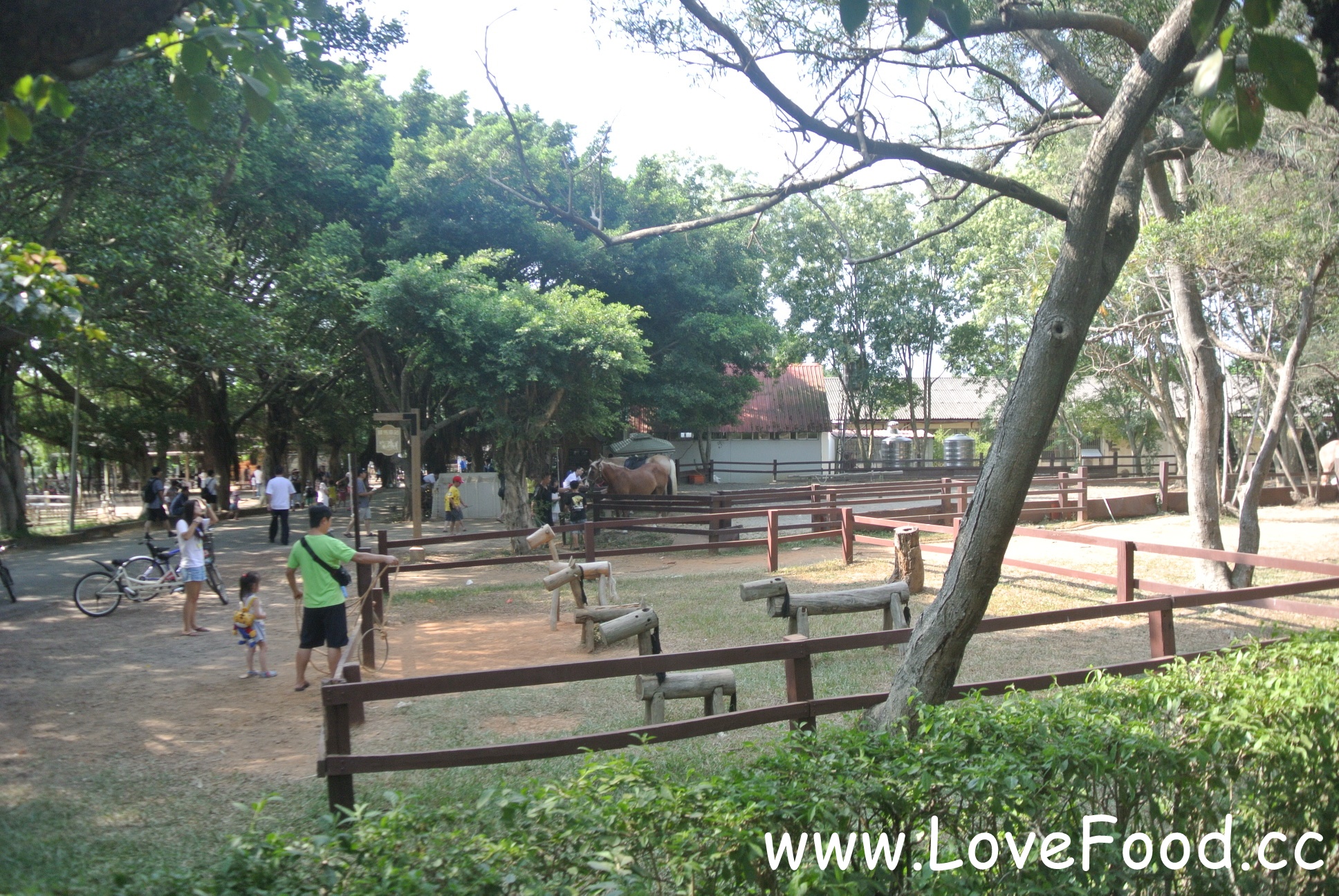 【桃園楊梅】埔心牧場-來趟乳牛生態之旅 適合多人團康的大草坪-pushin ranch