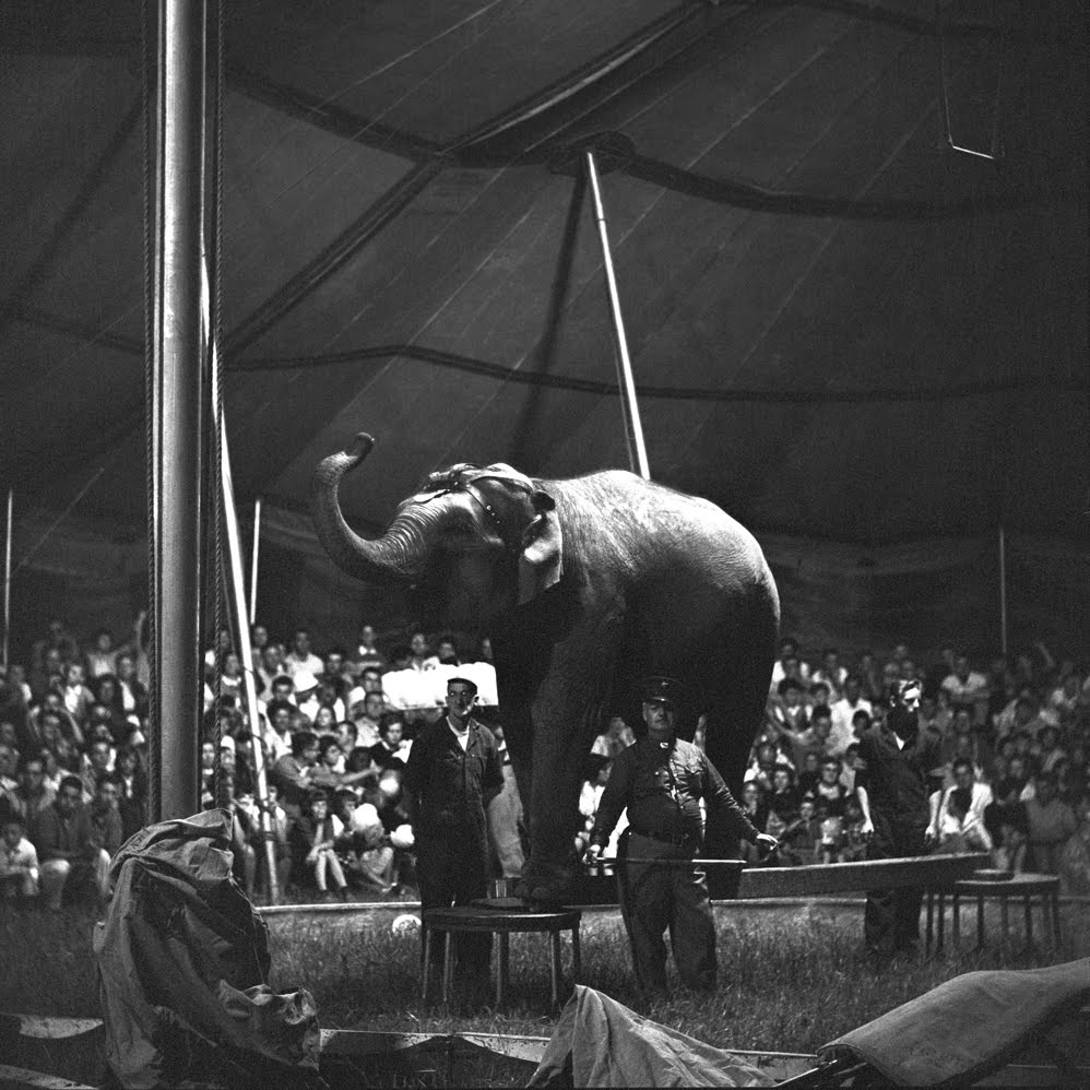 The Circus "NO SPIN ZONE": 01/30/12