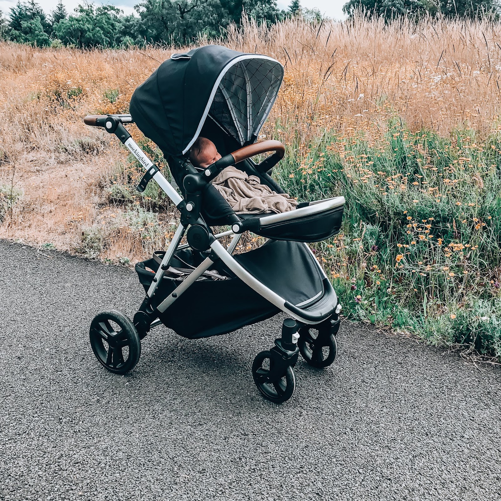 Review | MockingBird Stroller / Mainly Marta :: A Motherhood ...
