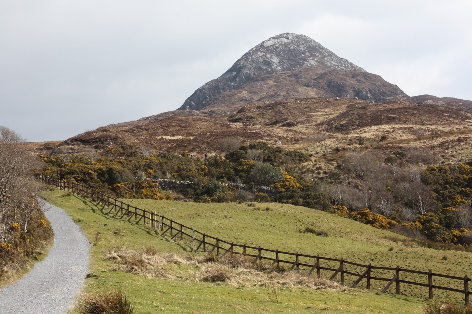 Low Stress Traveling - Darling Style: Connemara National Park Trails in ...