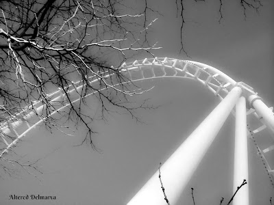 Life on Delmarva: Roller Coaster Rides / Amusement Parks in Ocean City ...