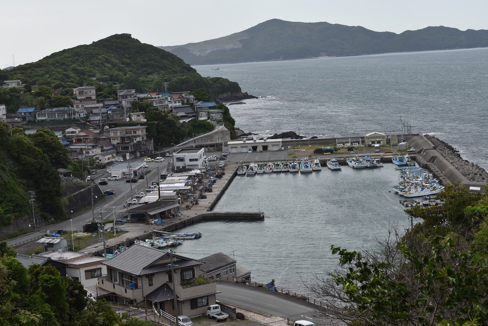 Sidelong Glances of a Pigeon Kicker: A Trip to Odo Island