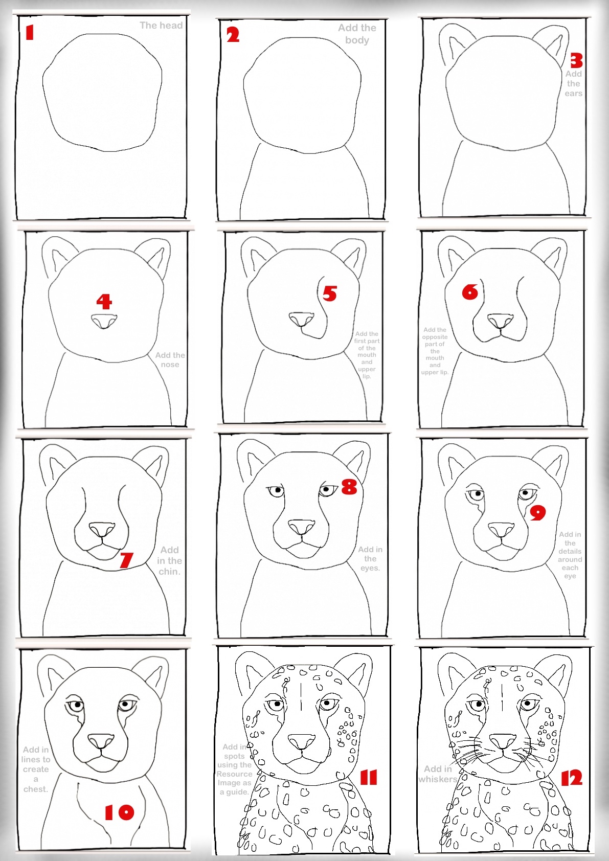 How To Draw A Cheetah Face Step By Step
