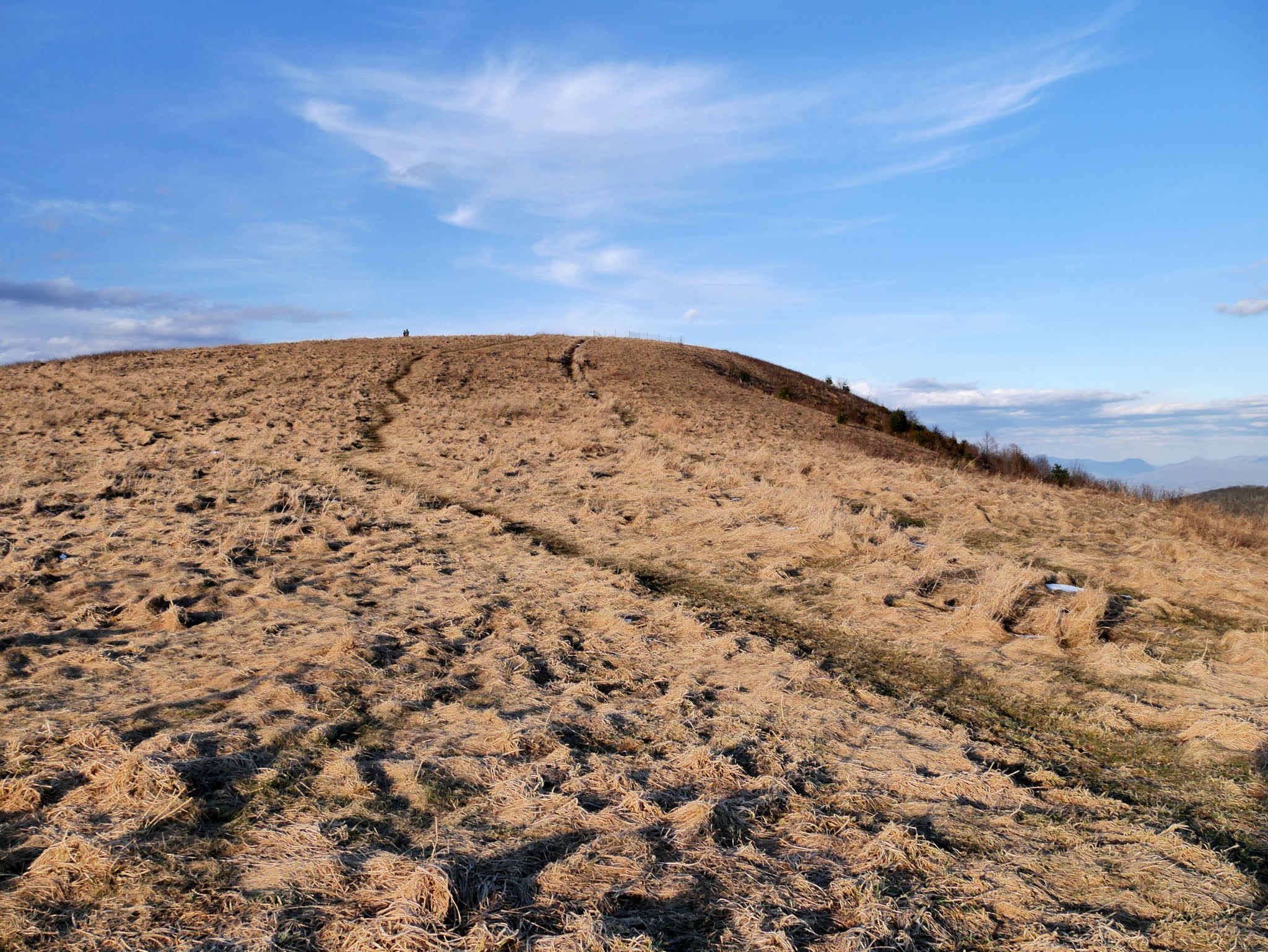 American Travel Journal: Max Patch Road to Max Patch Summit ...