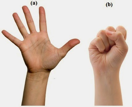 WELLNESS TIP IND: 5 Exercises and Stretches for Hand, Wrist, Fingers