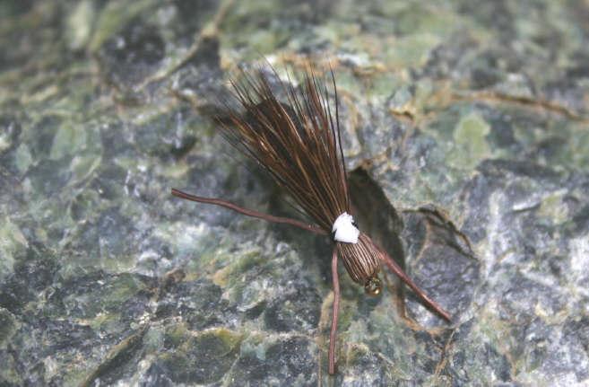 Jon Baiocchi Fly Fishing News: The Skwala Nation