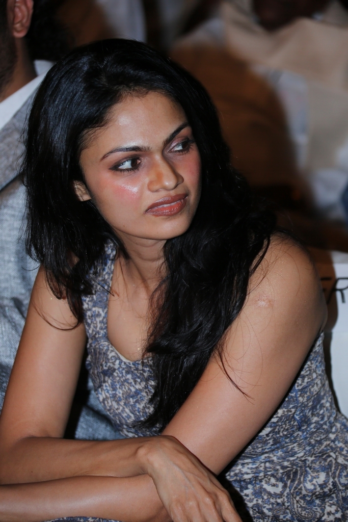 Singer Suchitra at Naayak Movie Audio Launch | Tollywoodtv