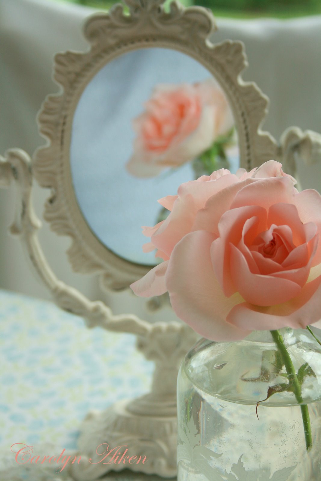 Aiken House & Gardens: The Delicate Beauty of Roses!