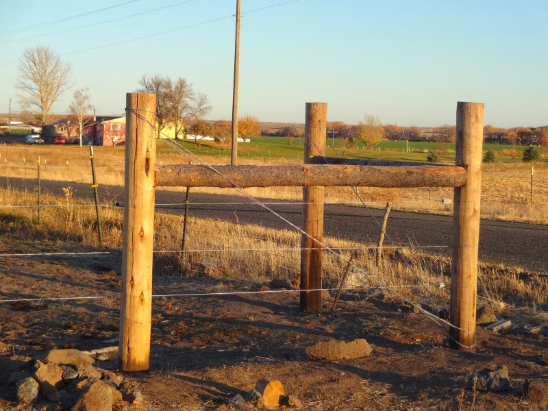 Everstuff Ranch: Chickens, Fencing, Steers and Horses