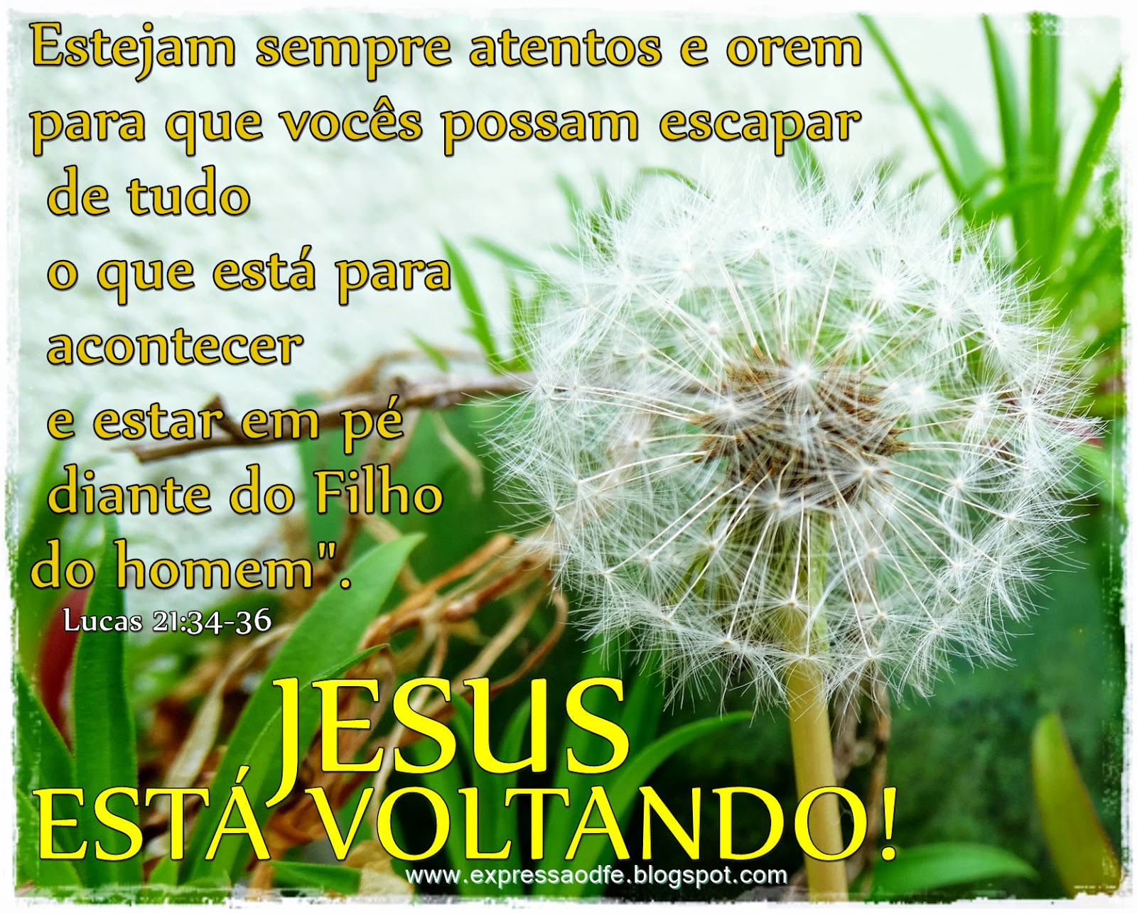 Expressão de Fé: Jesus está voltando!